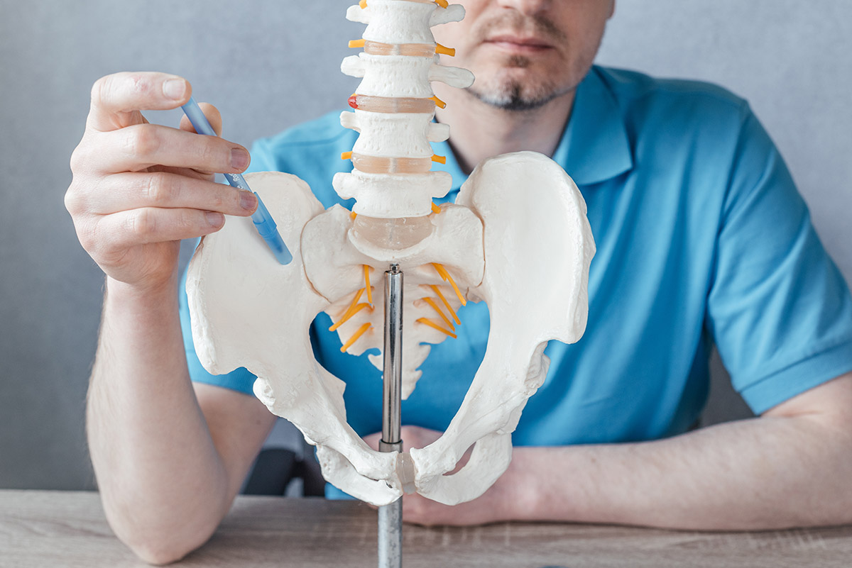 Sacroiliac Joint (SI Joint) - Puget Sound Orthopaedics